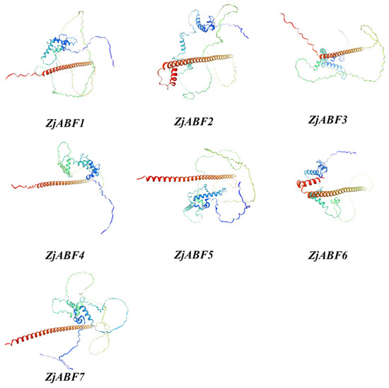 Genome-Wide Identification of the ABF/AREB/ABI5 Gene Family in Ziziphus jujuba cv. Dongzao and ...