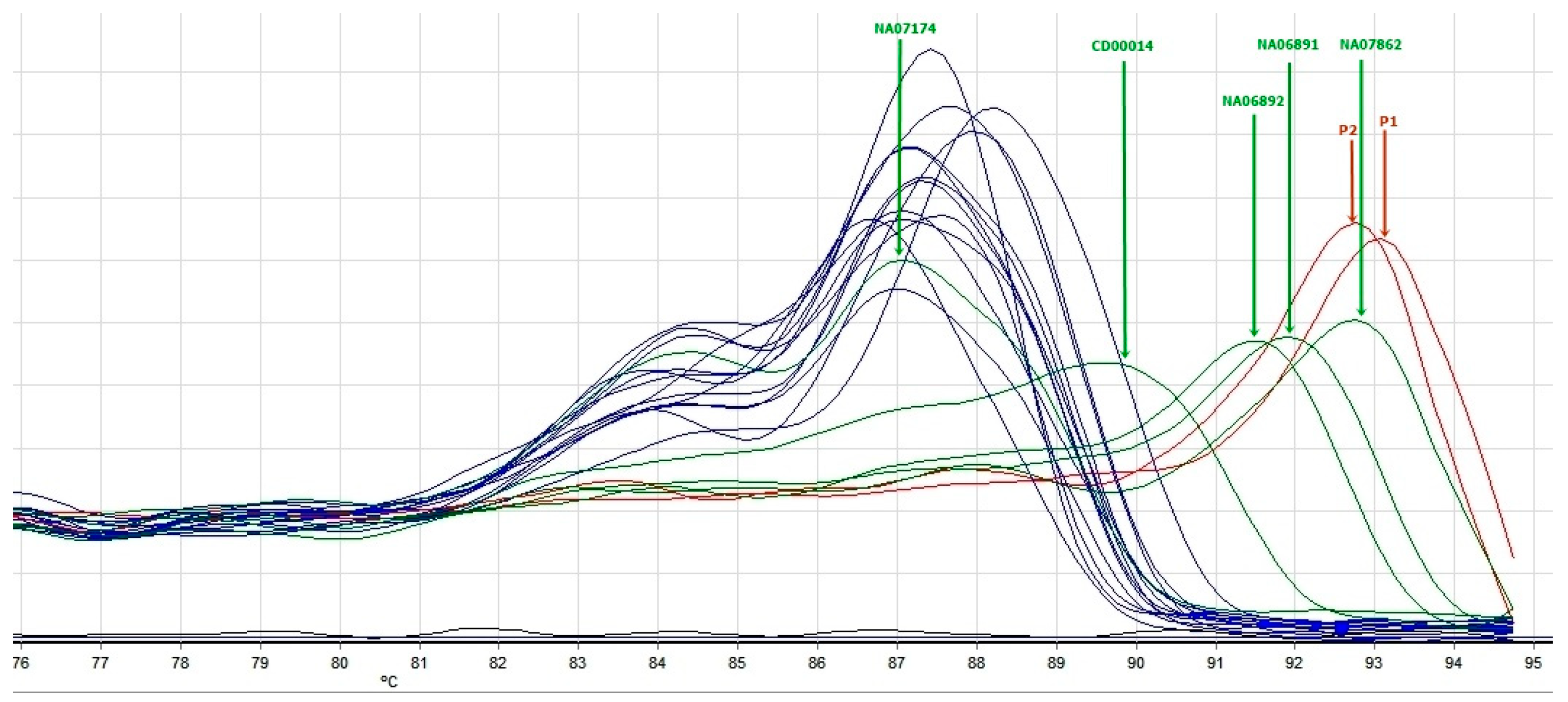 FMR1 Methylation Pattern and Repeat Expansion Screening in a Cohort of ...