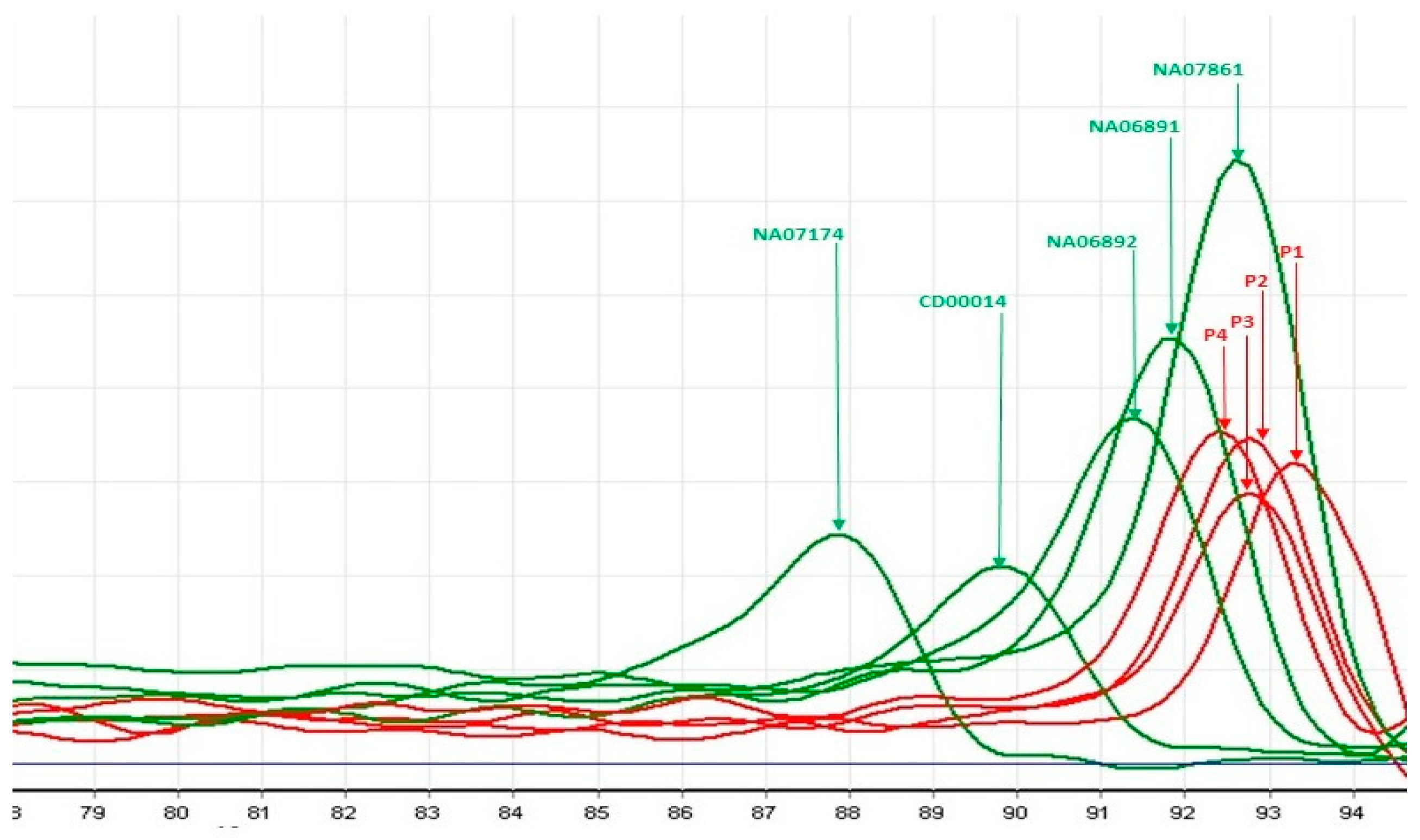 FMR1 Methylation Pattern and Repeat Expansion Screening in a Cohort of ...