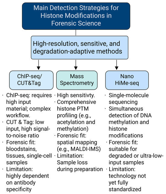 Histone Modifications as Individual-Specific Epigenetic Regulators ...