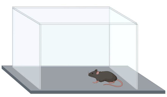 Extinction of Contextual Fear Memory and Passive Avoidance Memory and ...