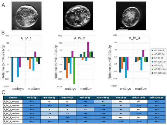 Detection of Development-Specific MicroRNAs in Rabbit Embryos and ...