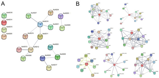 Genome-Wide Identification and Expression Analysis of the AS2/LOB ...