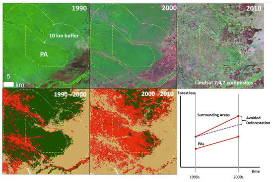Effectiveness of Protected Areas in the Pan-Tropics and International ...