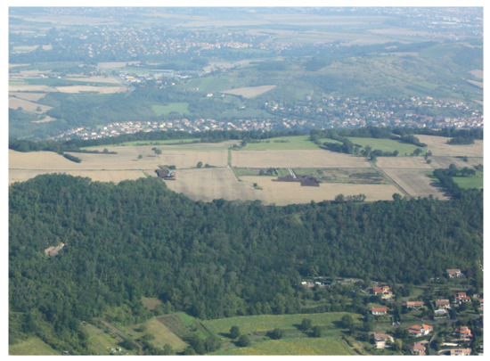 Self-AdaptIve LOcal Relief Enhancer (SAILORE): A New Filter to Improve ...