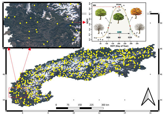 A Google Earth Engine Algorithm to Map Phenological Metrics in Mountain ...