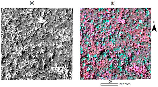 Feature Extraction and Classification of Canopy Gaps Using GLCM- and ...