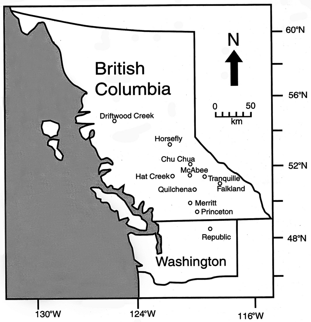 Geologic History of Eocene Stonerose Fossil Beds, Republic, Washington, USA