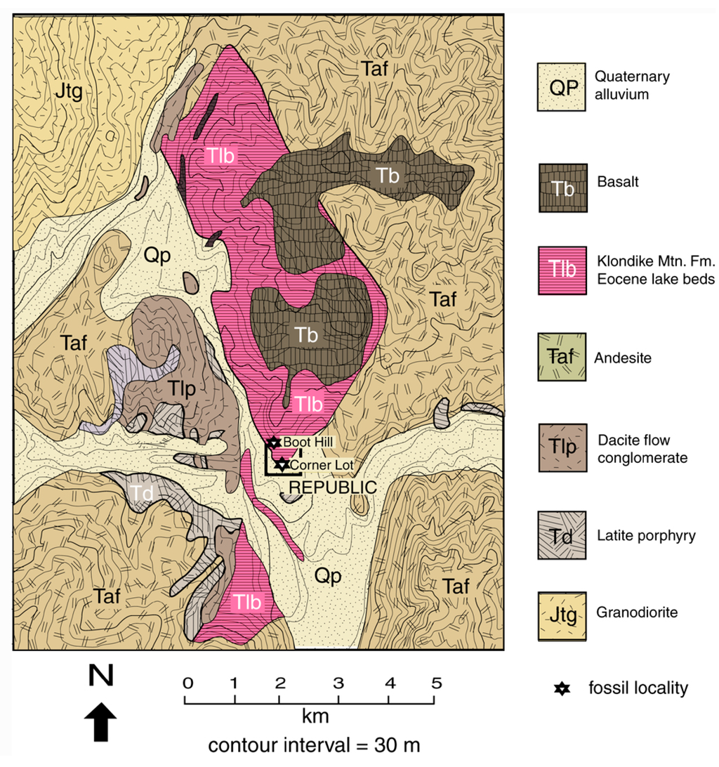 Geologic History of Eocene Stonerose Fossil Beds, Republic, Washington, USA