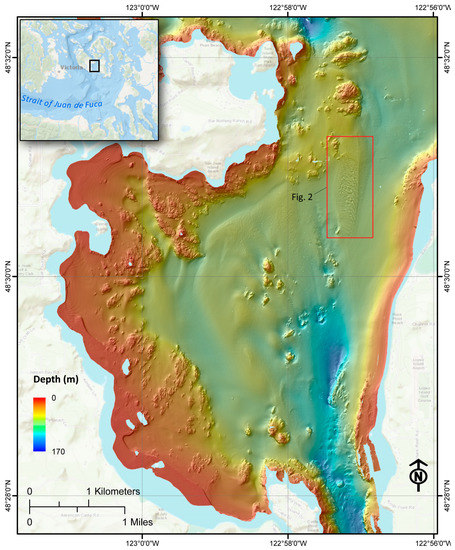 Geosciences | Free Full-Text | Characteristics and Dynamics of a Large ...