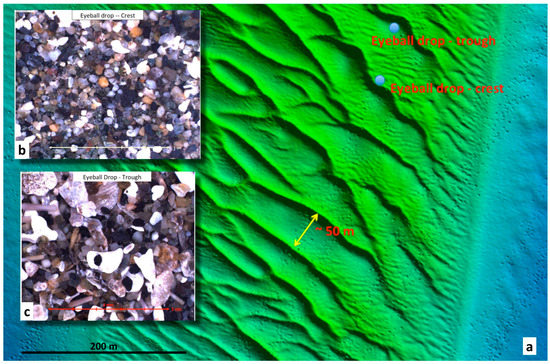 Geosciences | Free Full-Text | Characteristics and Dynamics of a Large ...