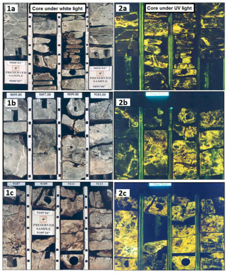 Geosciences | Free Full-Text | Formation MicroScanner Providing Better ...