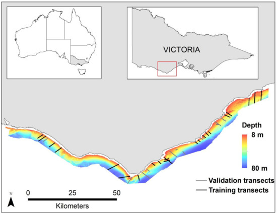 Multiscale and Hierarchical Classification for Benthic Habitat Mapping