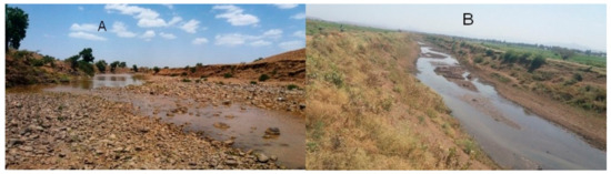 Geosciences | Free Full-Text | Morphodynamic Trends of the Ribb River ...