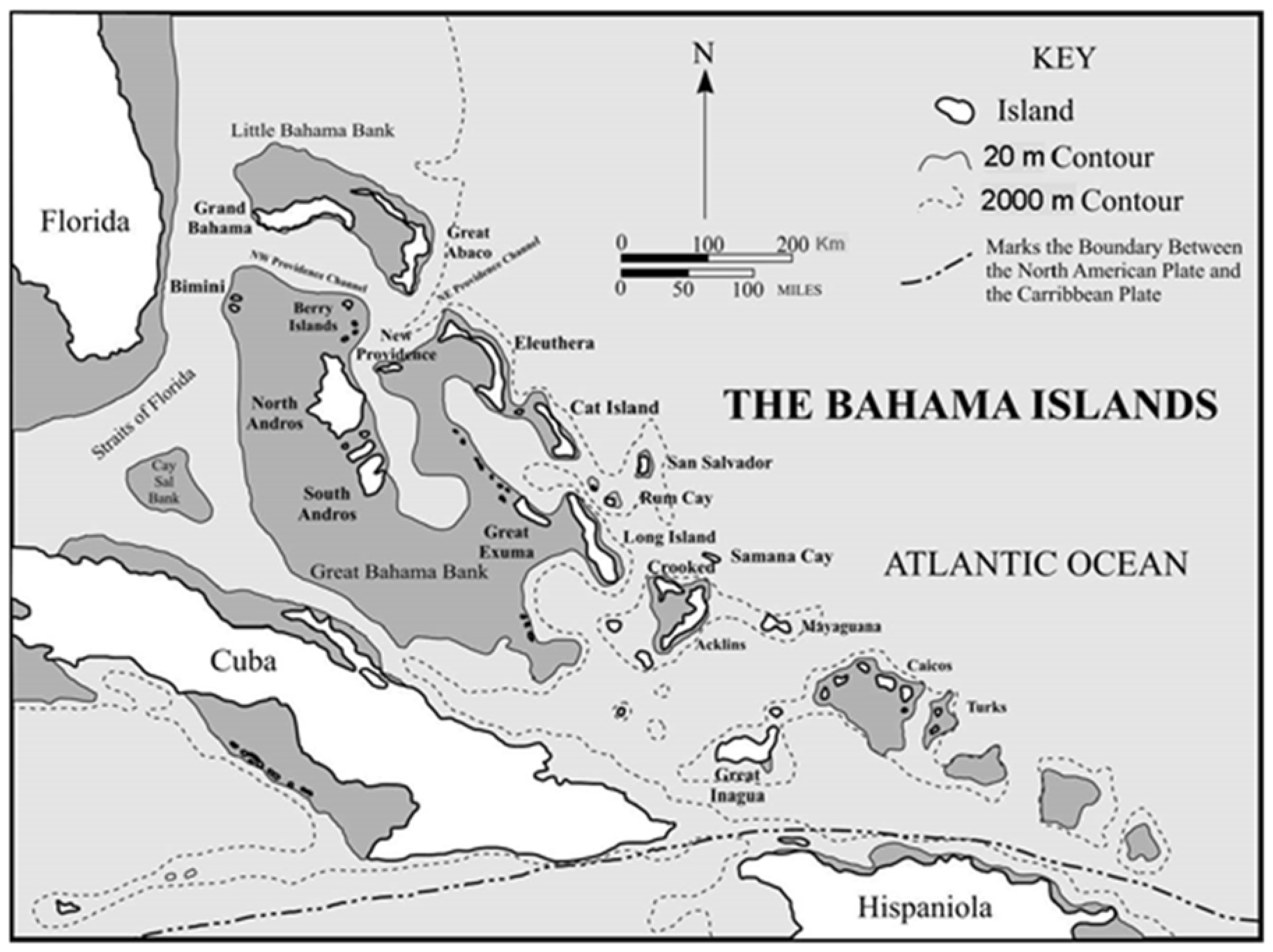 Diffuse Versus Conduit Flow in Coastal Karst Aquifers: The Consequences ...