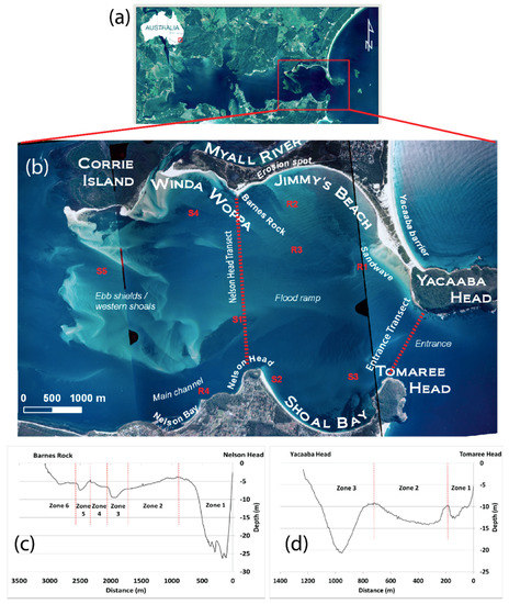 A Multi-Scale Conceptual Model of Flood-Tide Delta Morphodynamics in ...