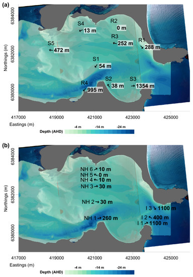A Multi-Scale Conceptual Model of Flood-Tide Delta Morphodynamics in ...