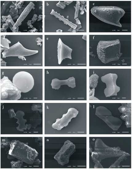 Holocene Soil Evolution in South Siberia Based on Phytolith Records and ...