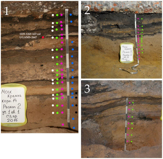 The Application of Buried Soil Properties for Reconstruction of Various ...