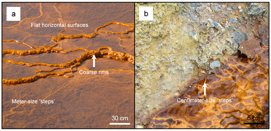 Terraced Iron Formations: Biogeochemical Processes Contributing to ...