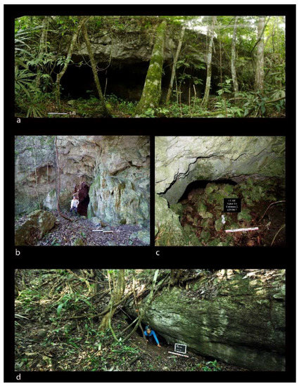 Locating Cave Entrances Using Lidar-Derived Local Relief Modeling