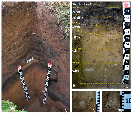 Geosciences | Free Full-Text | Paleolandscape Reconstruction Based on ...