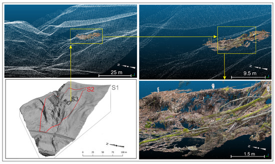 Identification of Micro-Scale Landforms of Landslides Using Precise ...