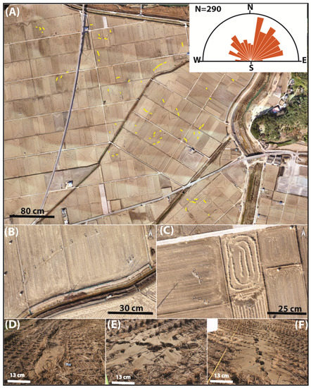 Geological and Structural Control on Localized Ground Effects within ...