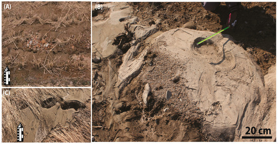 Geological and Structural Control on Localized Ground Effects within ...