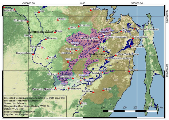 Impact of Deforestation on Streamflow in the Amur River Basin