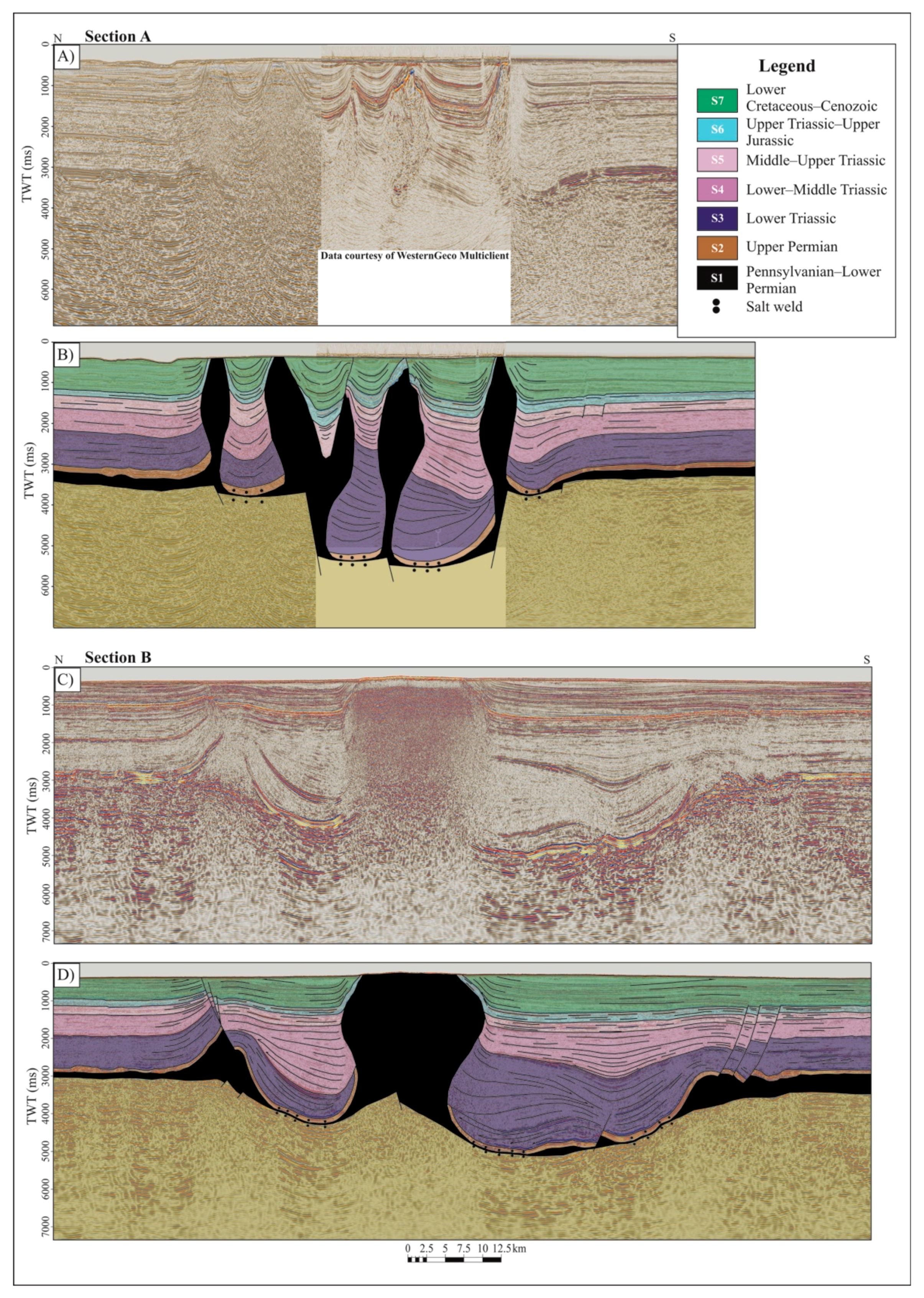 The Impact of Salt Tectonics on the Thermal Evolution and the Petroleum ...