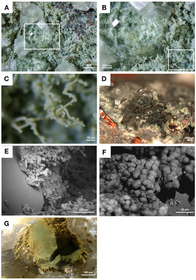Geosciences | Free Full-Text | Instant Attraction: Clay Authigenesis in ...
