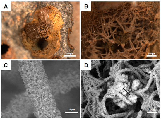 Geosciences | Free Full-Text | Instant Attraction: Clay Authigenesis in ...