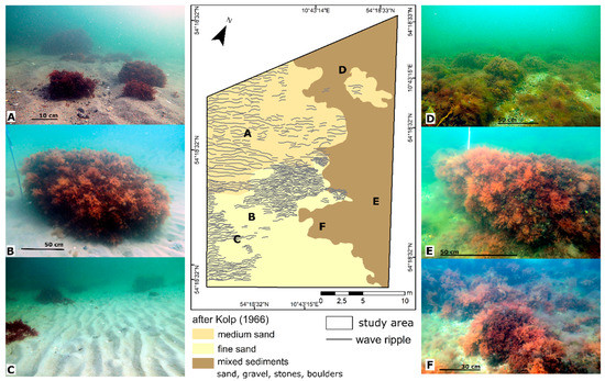 Limitations of Boulder Detection in Shallow Water Habitats Using High ...
