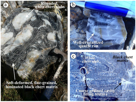 The Sedimentary Origin of Black and White Banded Cherts of the Buck ...