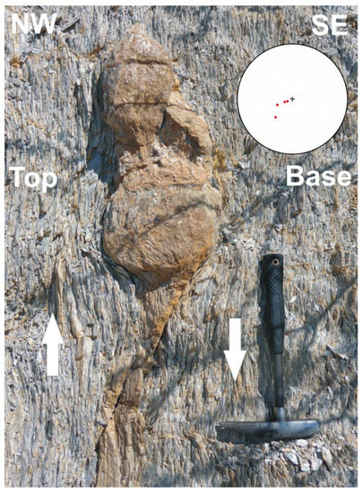 Deformation of the Cambro-Ordovician Amdeh Formation (Members 1 and 2 ...