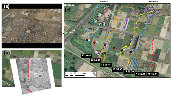 Tsunami Damage Detection with Remote Sensing: A Review
