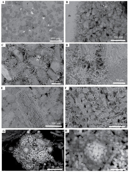 Methane Derived Authigenic Carbonate (MDAC) Aragonite Cemented ...
