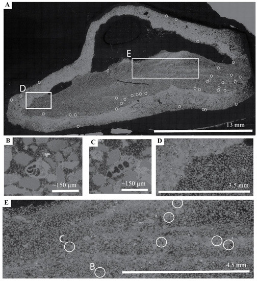 Methane Derived Authigenic Carbonate (MDAC) Aragonite Cemented ...
