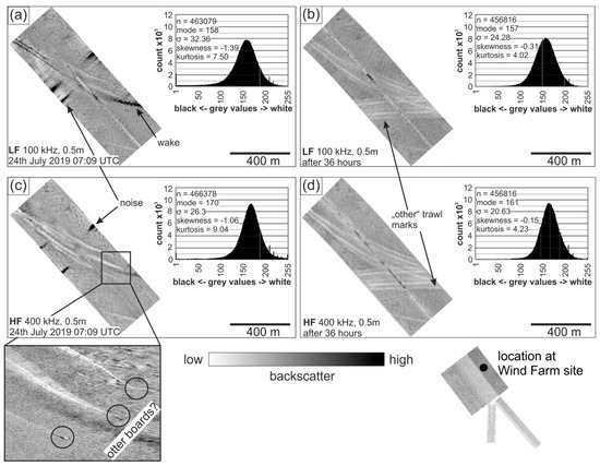 Identifying Trawl Marks in North Sea Sediments