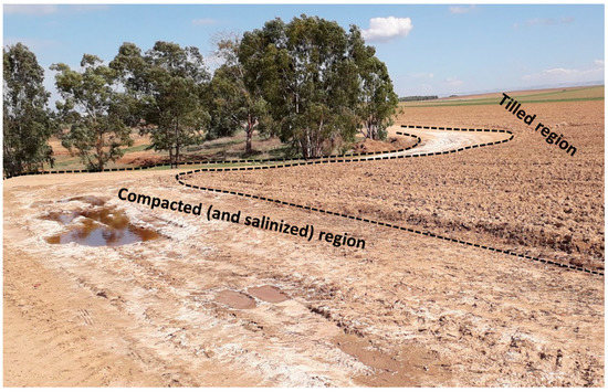 Soil Degradation Processes: It’s Time to Take Our Head Out of the Sand