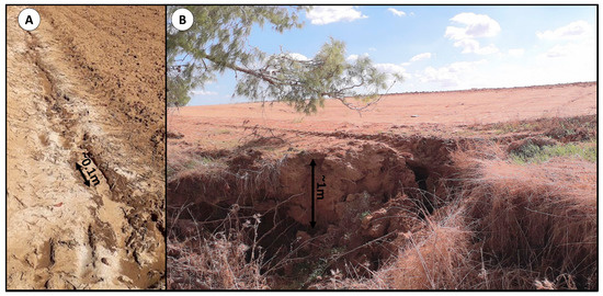Soil Degradation Processes: It’s Time to Take Our Head Out of the Sand