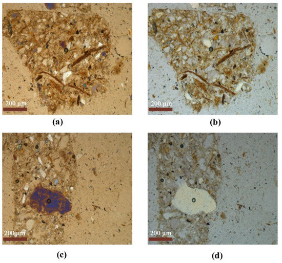 Micromorphological Characteristic of Different-Aged Cryosols from the ...