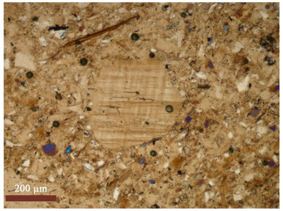 Micromorphological Characteristic of Different-Aged Cryosols from the ...