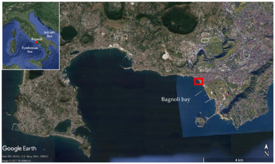 Predicting Crenulate Bay Profiles from Wave Fronts: Numerical ...