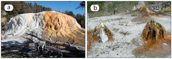 Fissure Ridges: A Reappraisal of Faulting and Travertine Deposition ...