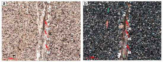 Structure and Composition of Basement and Sedimentary Cover in the ...