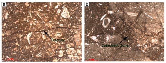 Structure and Composition of Basement and Sedimentary Cover in the ...