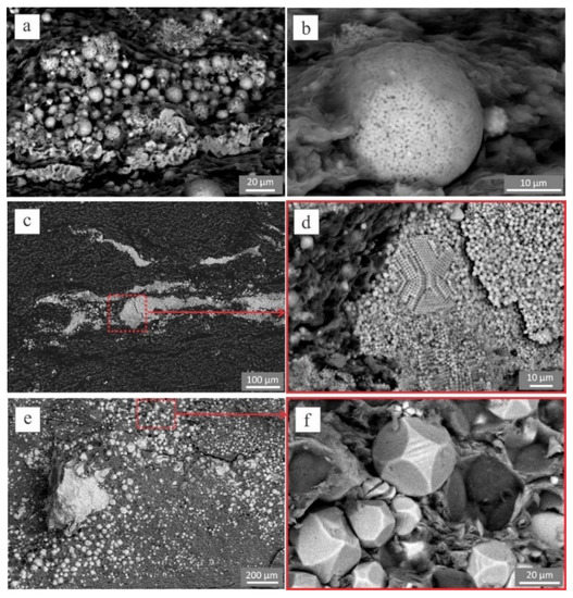 Pyrite Morphology and δ34S as Indicators of Deposition Environment in ...