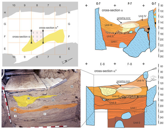 Micromorphological Study of Site Formation Processes at El Sidrón Cave ...
